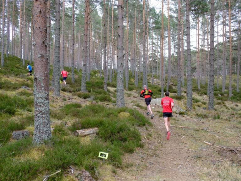 Photos – Run Balmoral